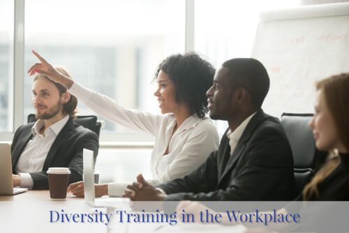 Diversity in the Workplace Training: Options