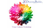 True Colors Training for Improved Teamwork & Communication